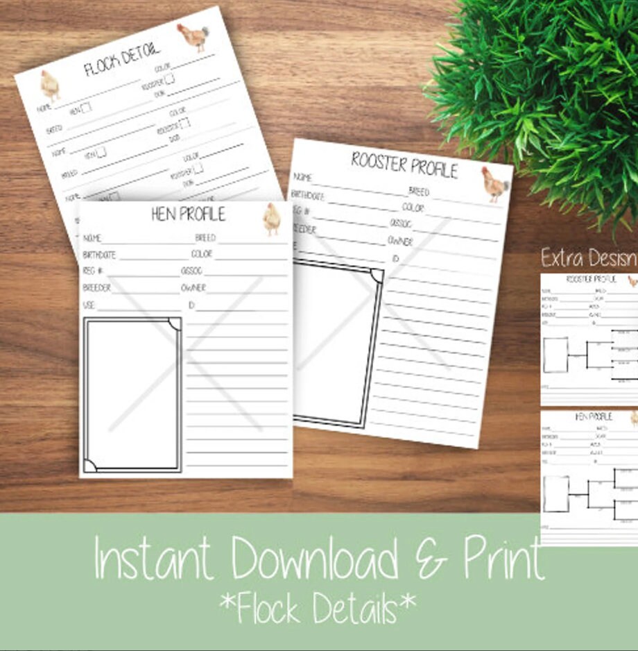 Hatch My Own Chickens, Chicken Log, Chicken Gift, Chicken Keeper ...