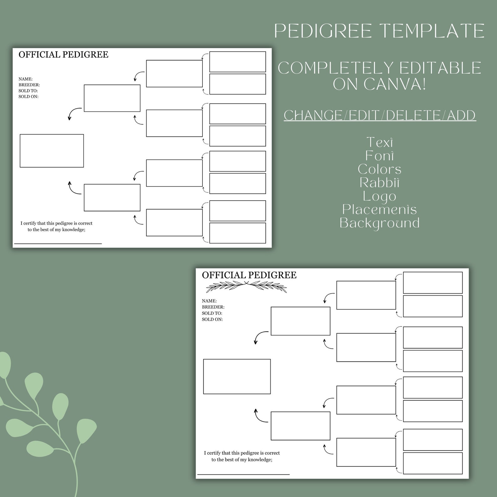 Printable Blank Pedigree Template: Editable Family Tree (PDF & PNG) - Etsy