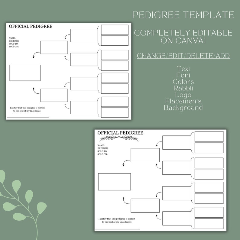Printable Blank Pedigree Template: Editable Family Tree (PDF & PNG) - Etsy
