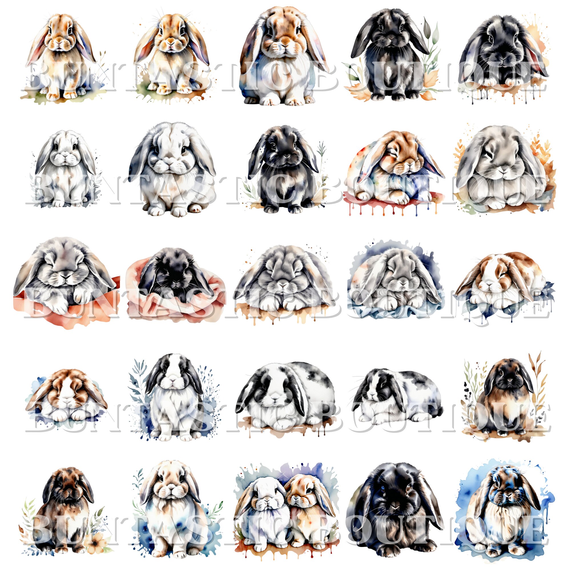 Holland Lop Clipart, Holland Lop Images, Watercolor Holland Lop, Rabbit ...