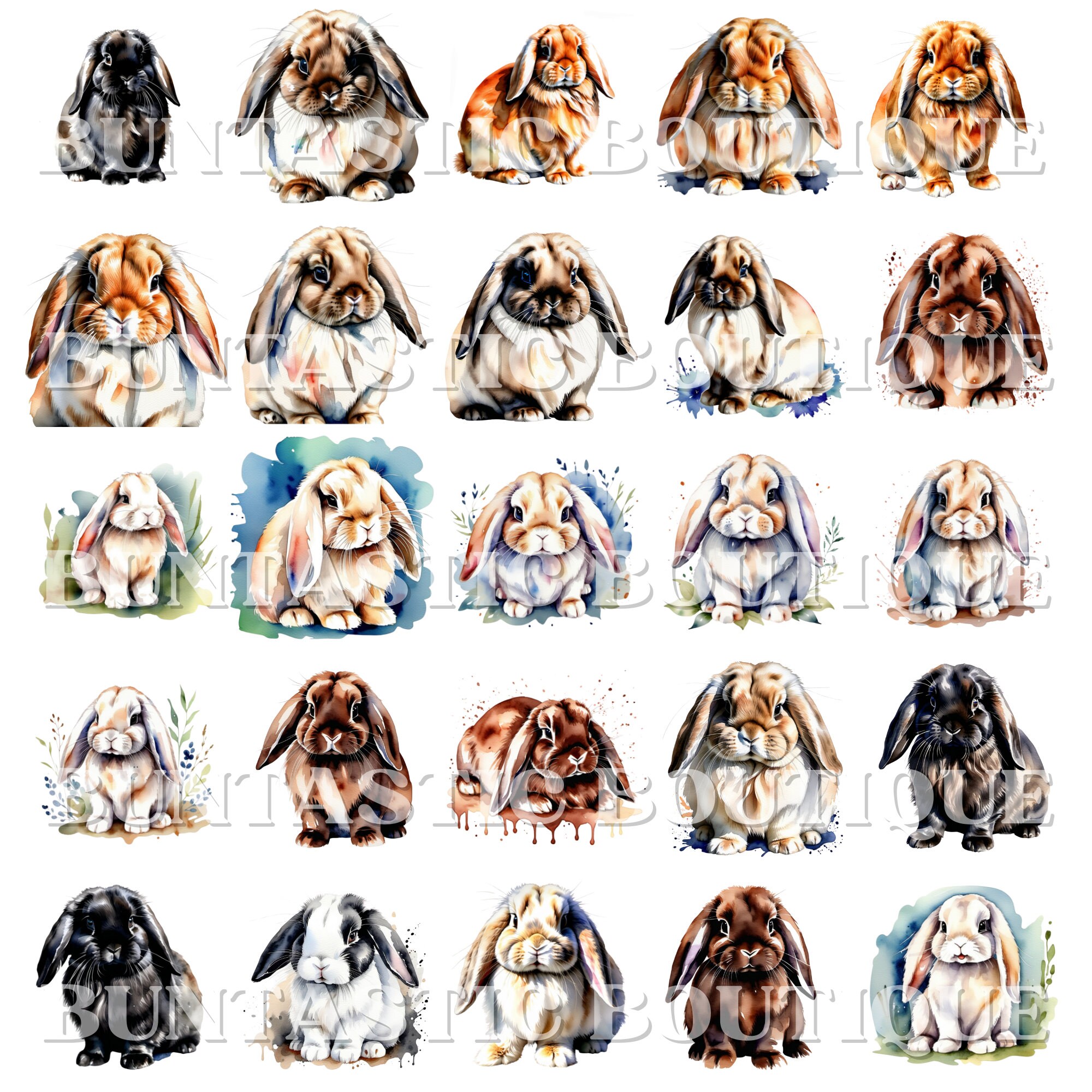Holland Lop Clipart, Holland Lop Images, Watercolor Holland Lop, Rabbit ...