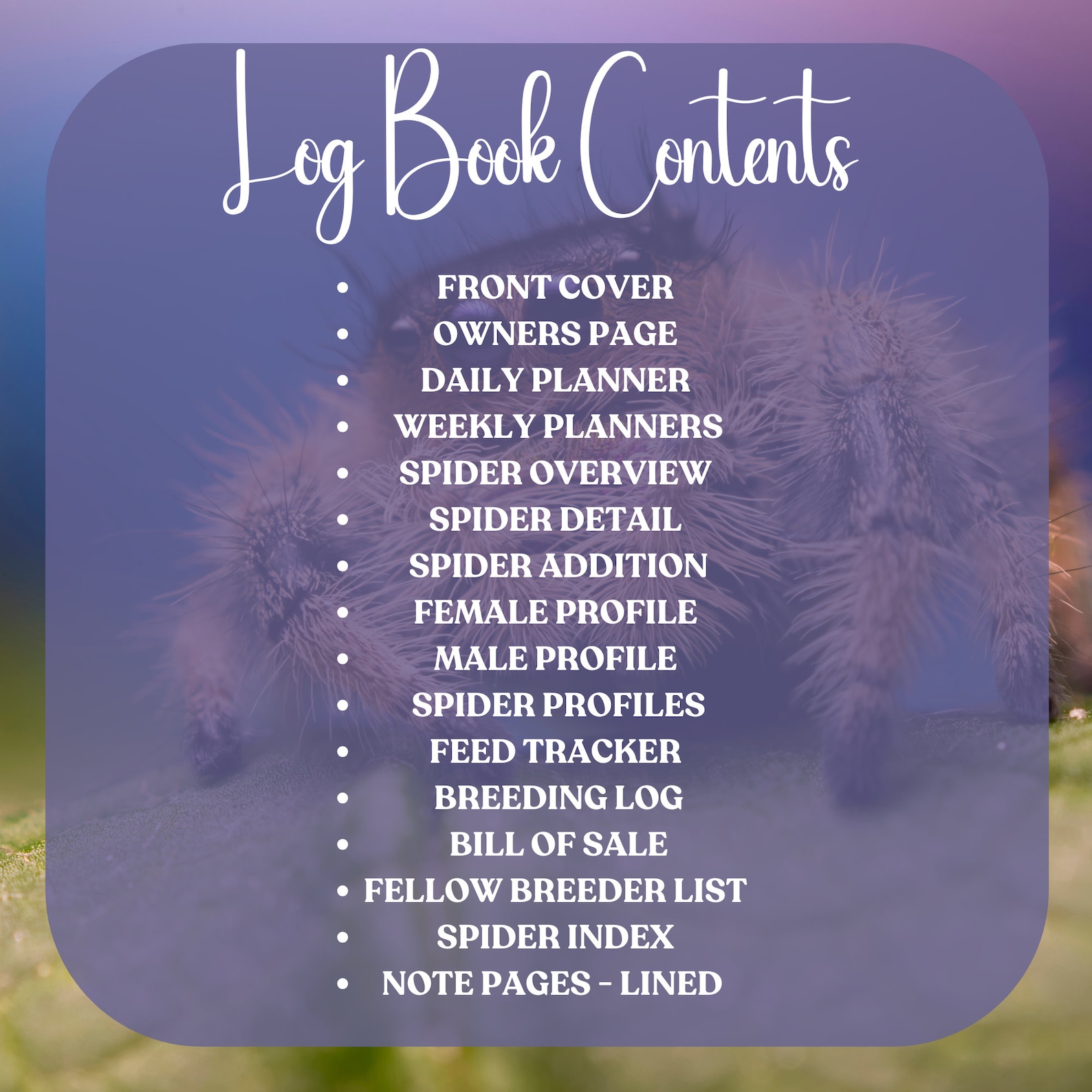 Spider Journal - 20 Pg Logbook, Jumping Spider Tracker, Spider Feed ...