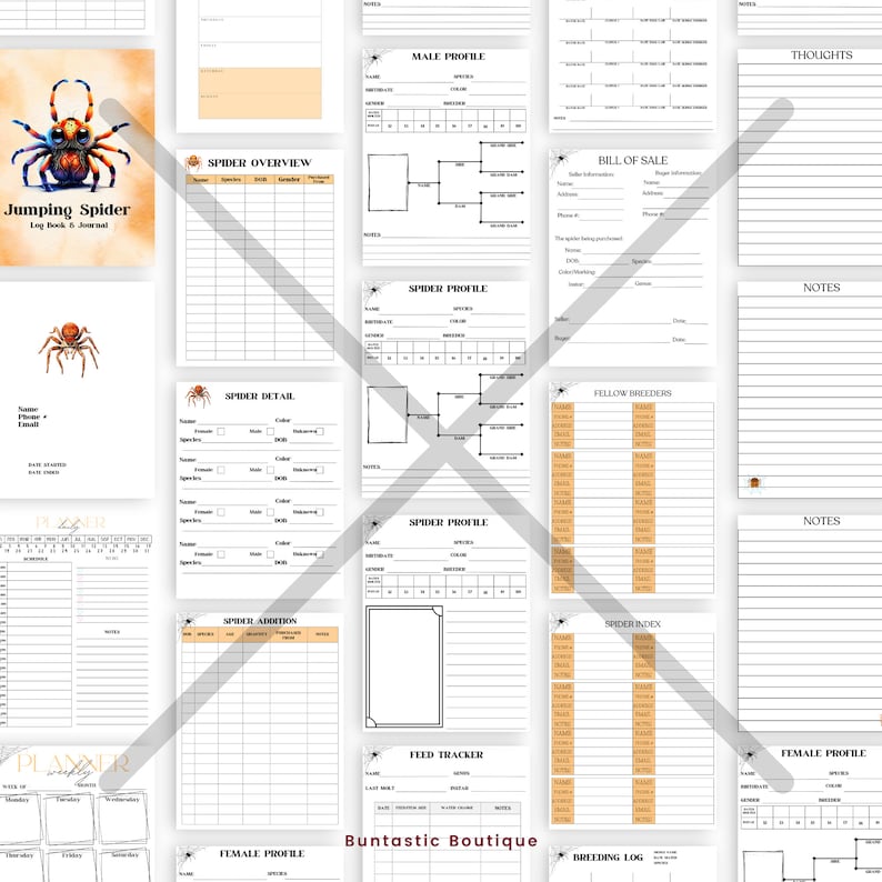 Spider Journal - 20 Pg Logbook, Jumping Spider Tracker, Spider Feed ...