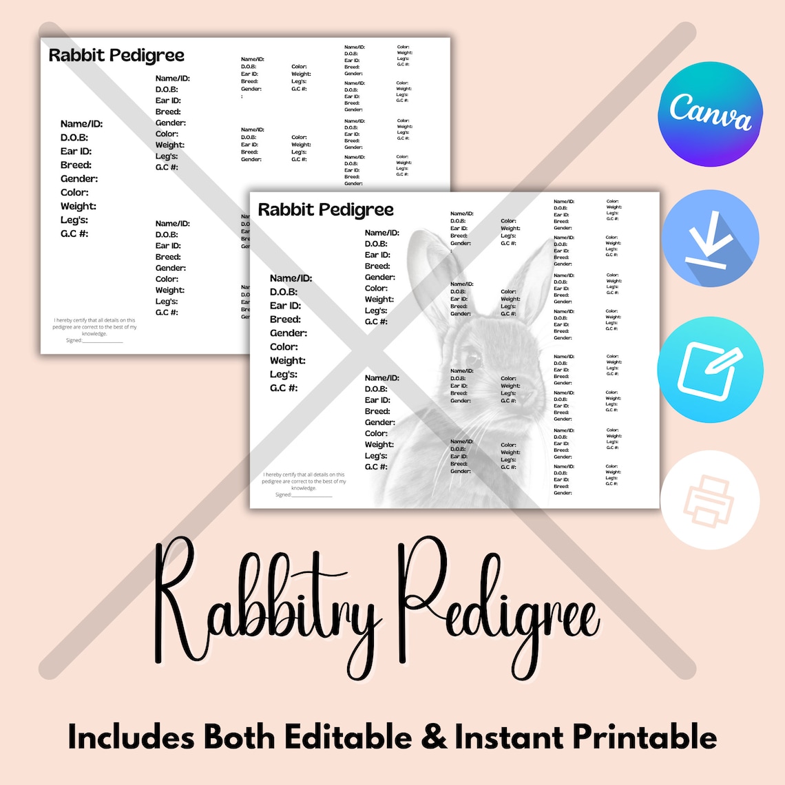 Editable Pedigree, Rabbitry, Rabbit Pedigree, Pedigree, Purebred, ARBA ...