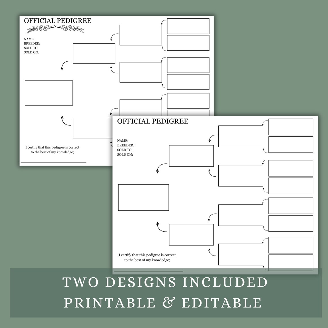 Printable Blank Pedigree Template: Editable Family Tree (PDF & PNG) - Etsy