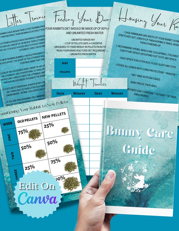 Premade Editable Rabbit Homing Kit Rabbit Homing Guide - Etsy