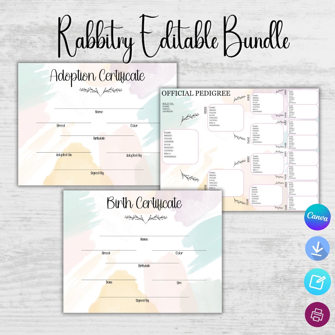 Rabbitry Bundle, Rabbit Bundle, New Rabbit, Rabbit Breeder, Birth ...