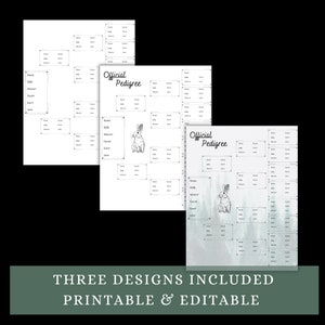 Rabbit Pedigree, Rabbitry, Bunny, ARBA, Breeder, Personalized Pedigree ...