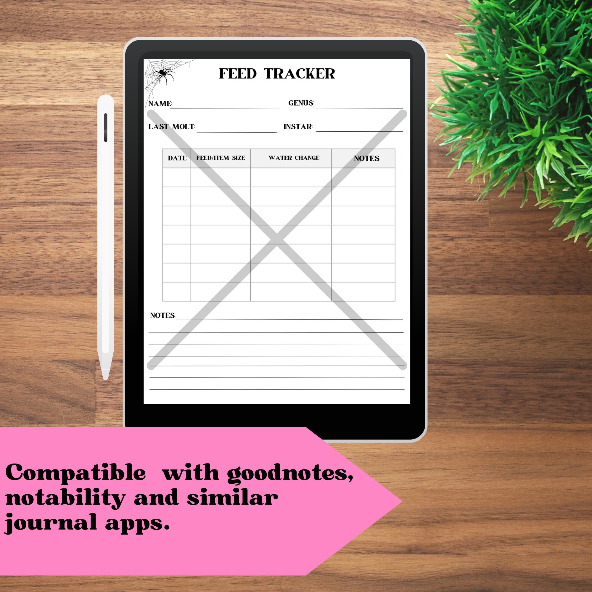 Spider Journal - 20 Pg Logbook, Jumping Spider Tracker, Spider Feed ...