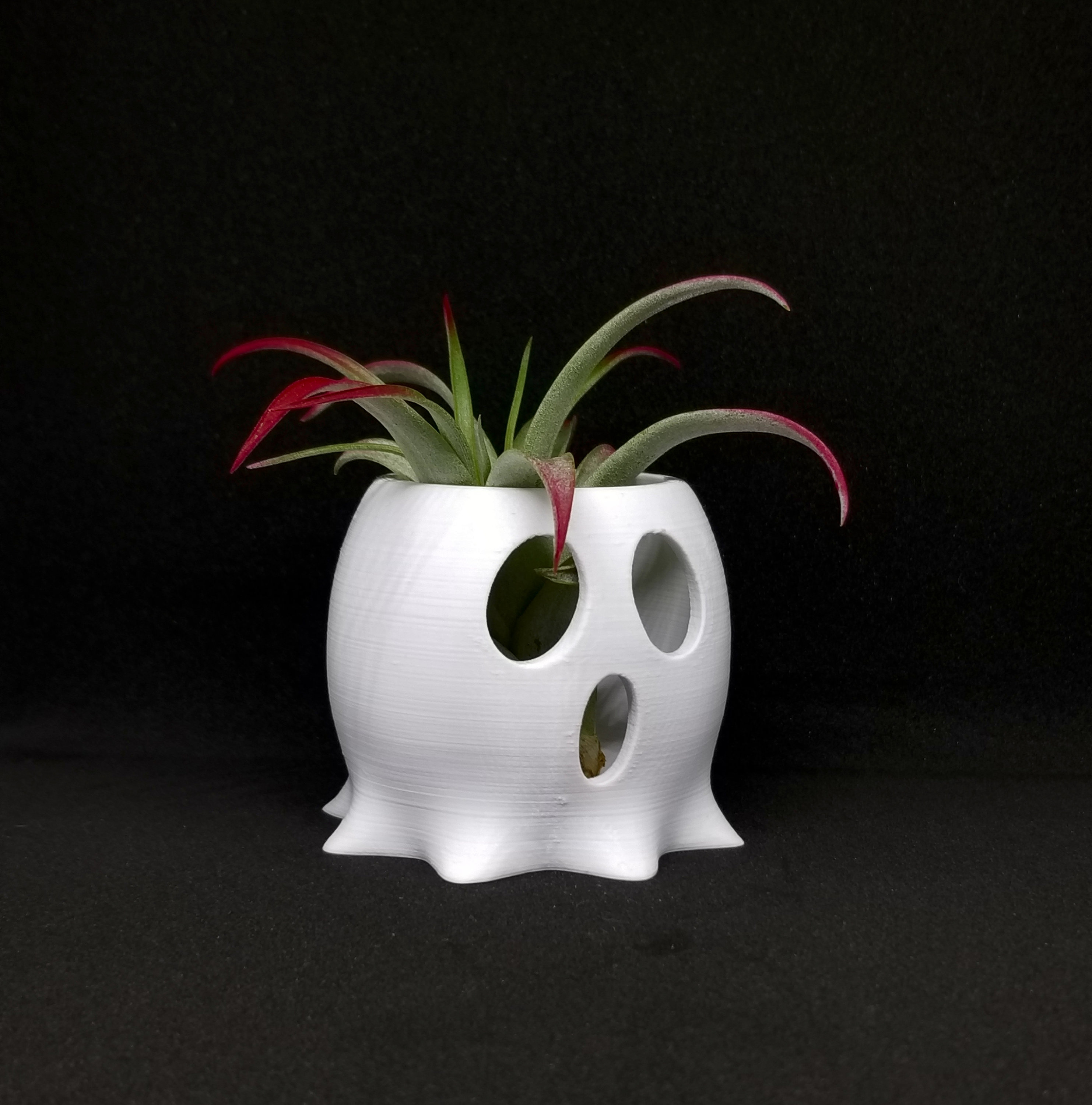 Halloween Air Planter Ghost Air Planter Small Air Planter - Etsy