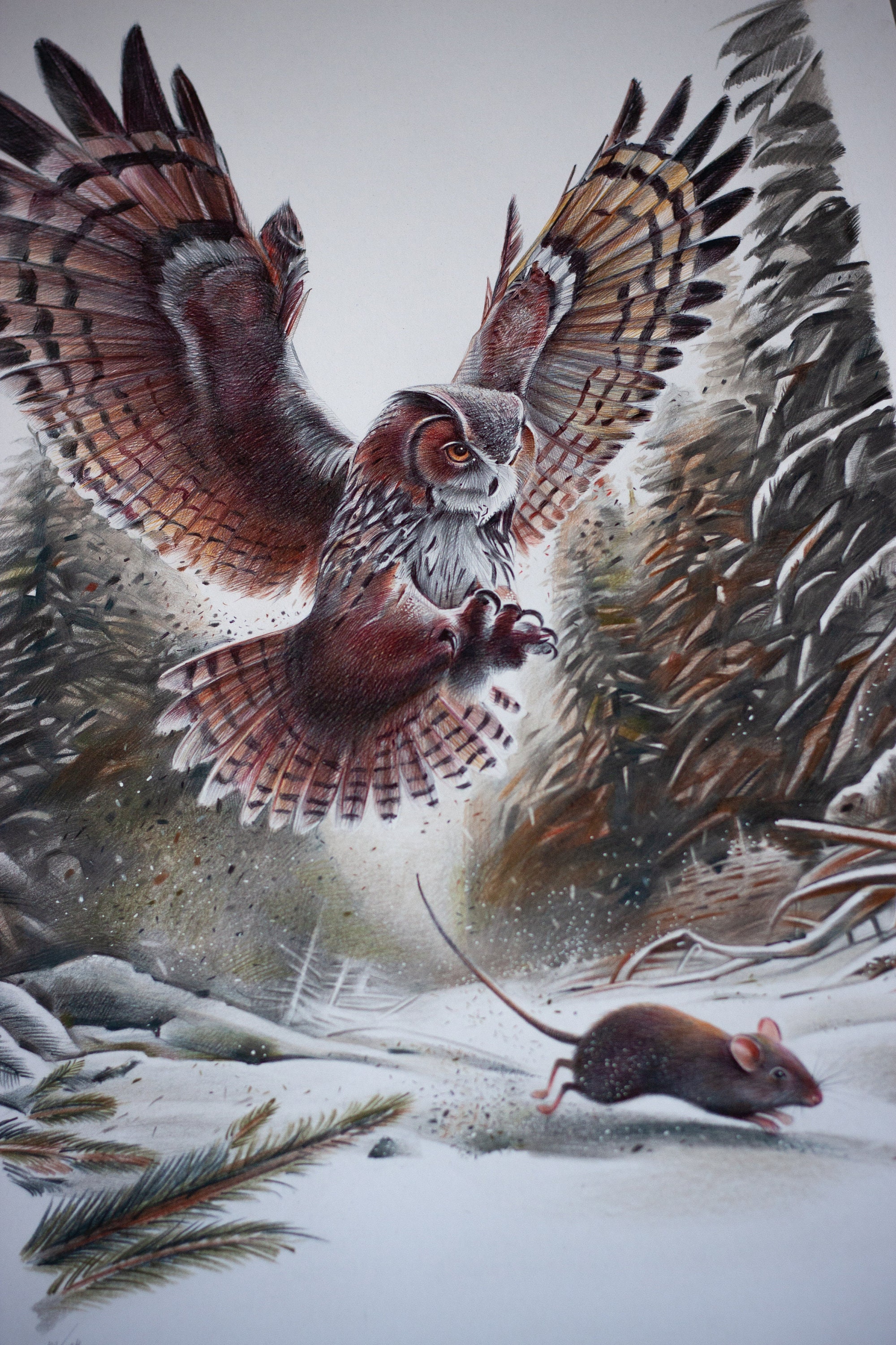 The Owl and the Mouse Original Artwork Ballpoint Pen Drawing on White ...