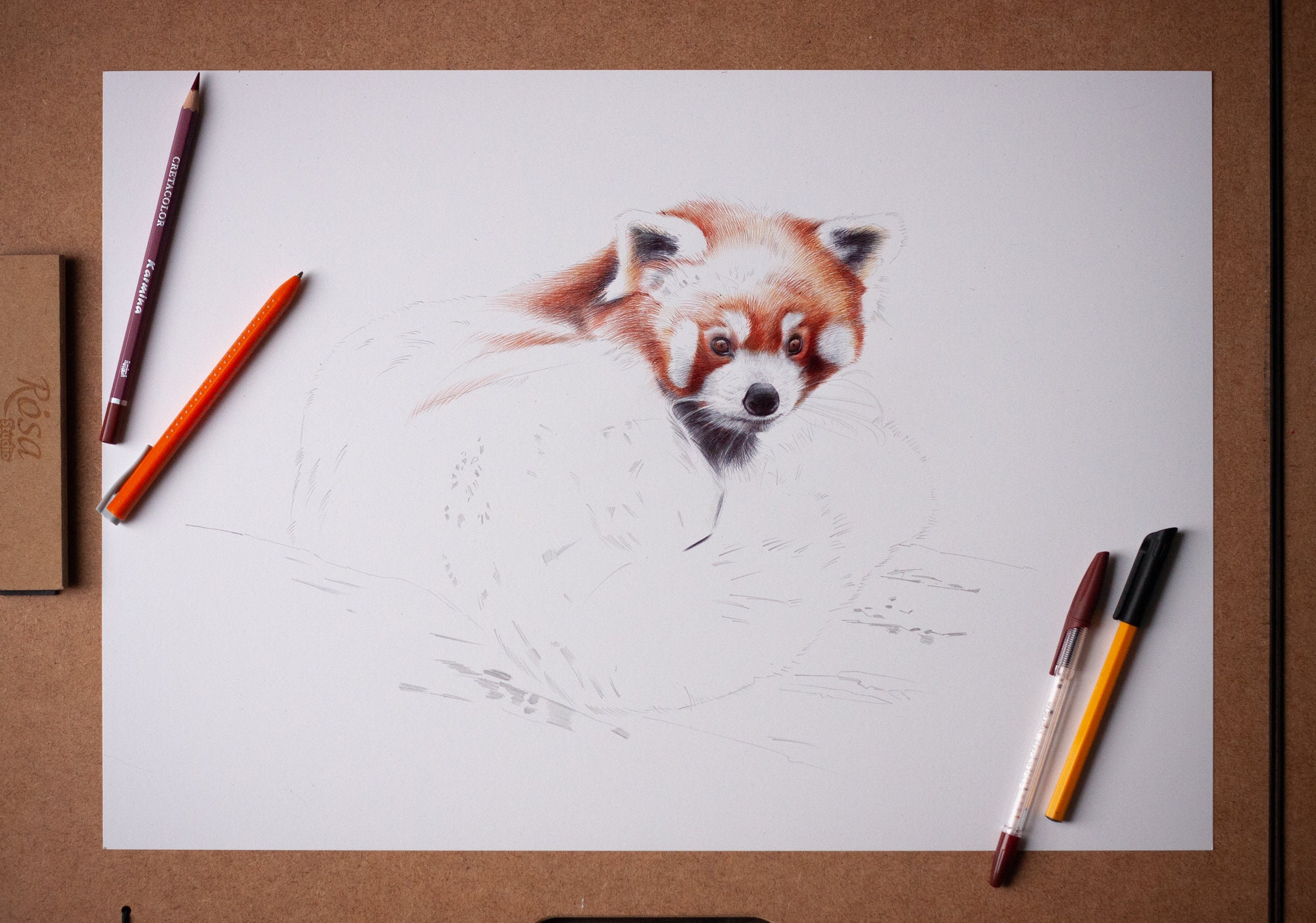 Red Panda Original Artwork. Ballpoint Pen Drawing on Paper ...