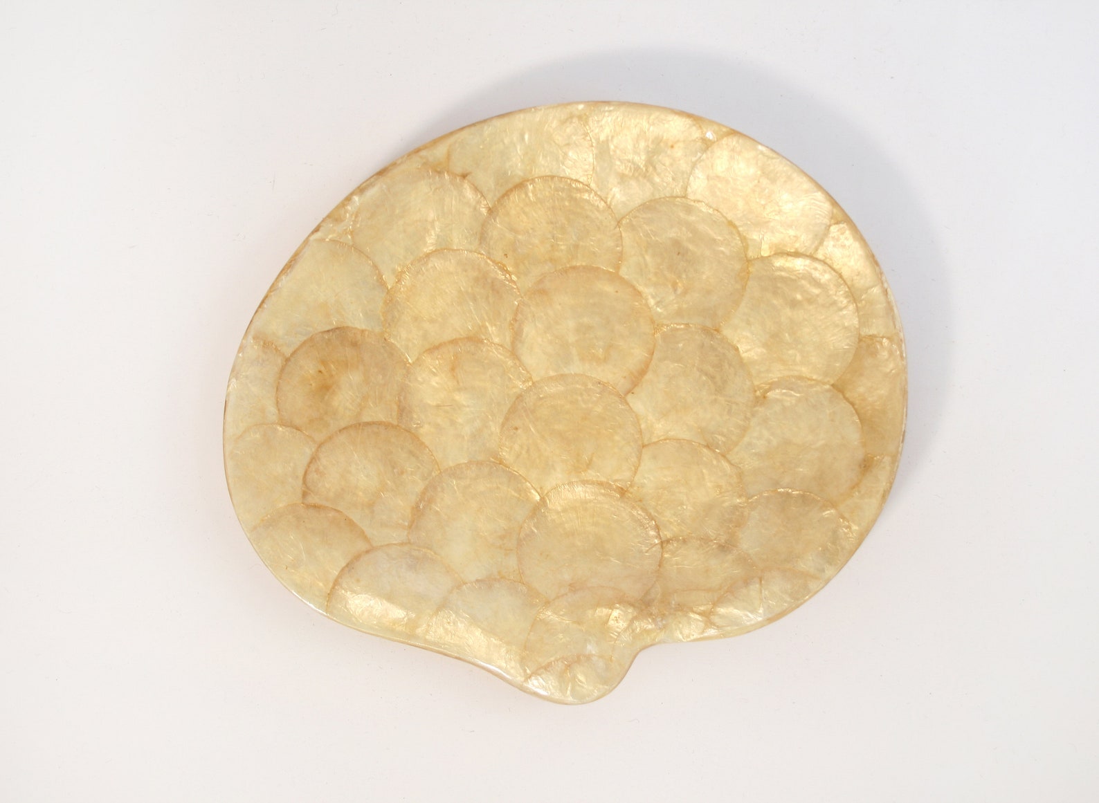 Vintage Golden Capiz Mother of Pearl Shell Plate Platter - Etsy