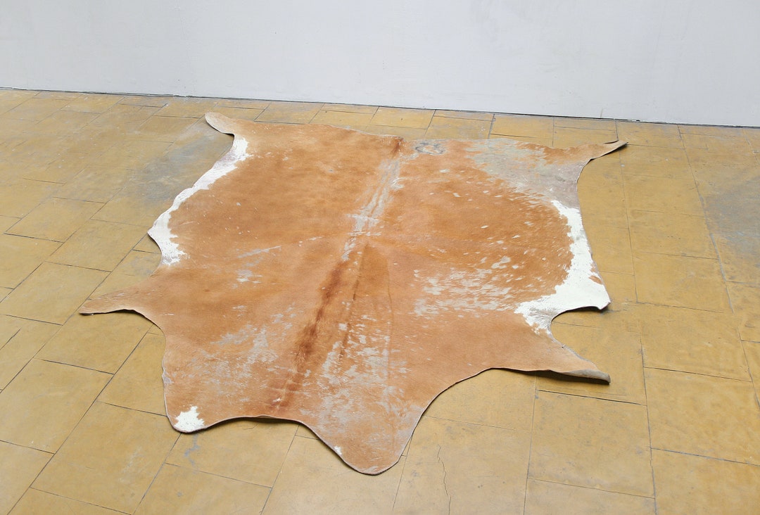 Large Vintage Tan Argentine Cow Hide Brown White Rusty Tanned Studio ...