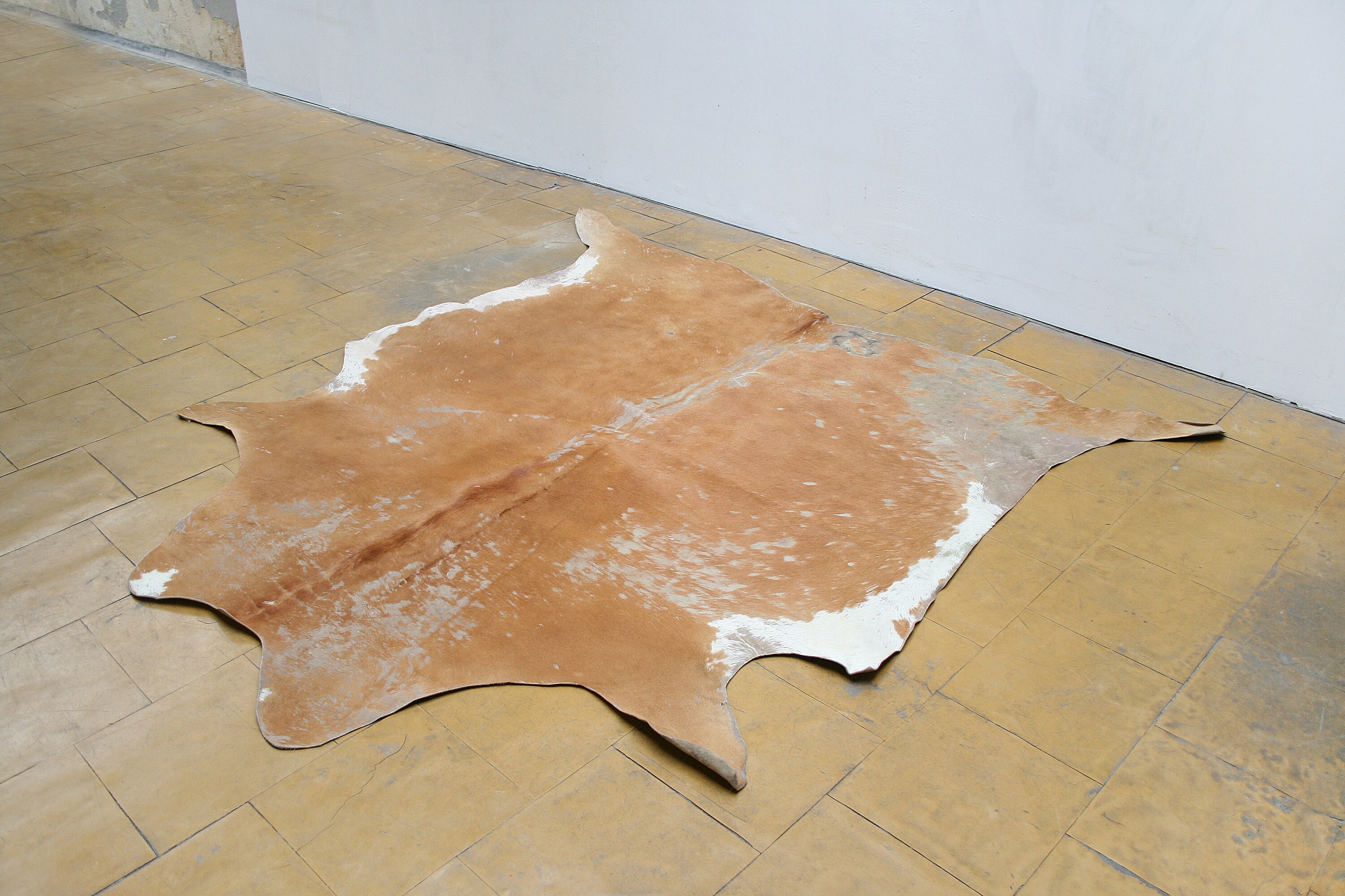 Large Vintage Tan Argentine Cow Hide Brown White Rusty Tanned Studio ...
