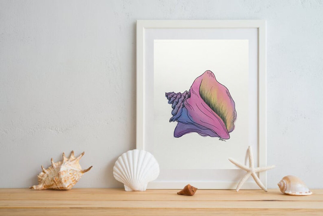 PRINT: Watercolour Shell Pink Edition - Etsy New Zealand