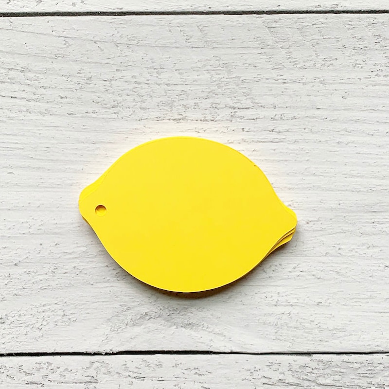 Lemon Theme Favor Tags - Etsy