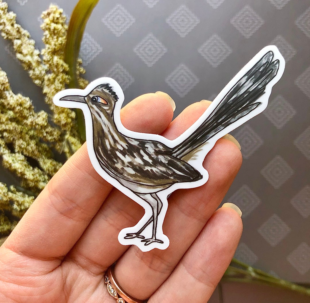 Roadrunner Sticker, Vinyl Die Cut Sticker, Original Illustration ...