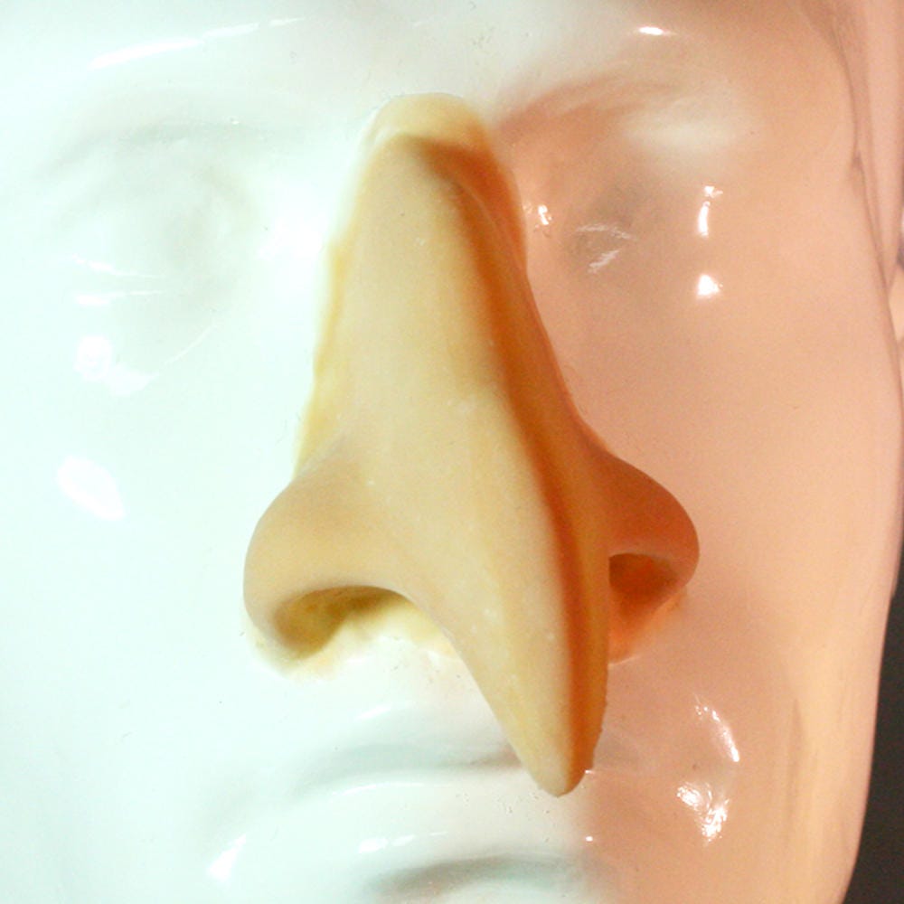 Witch Nose 2 Hook Wizard Hag Crone-soft & Supple Latex Halloween ...