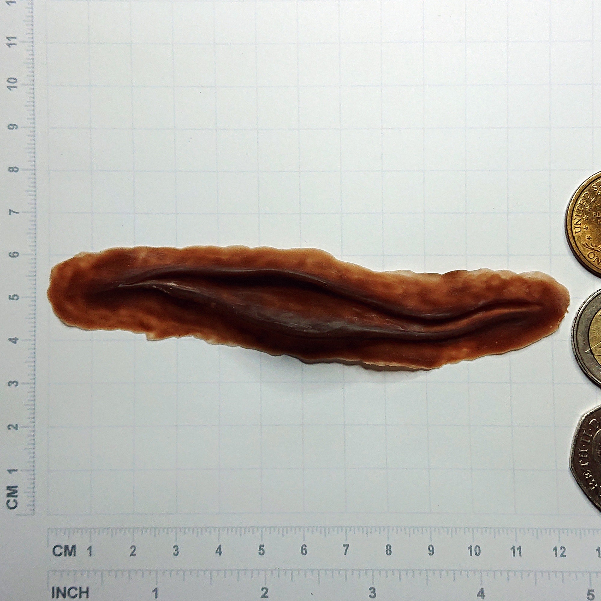 Stab Slit Slash Wound 6 Latex Prosthetic Scar Available in | Etsy