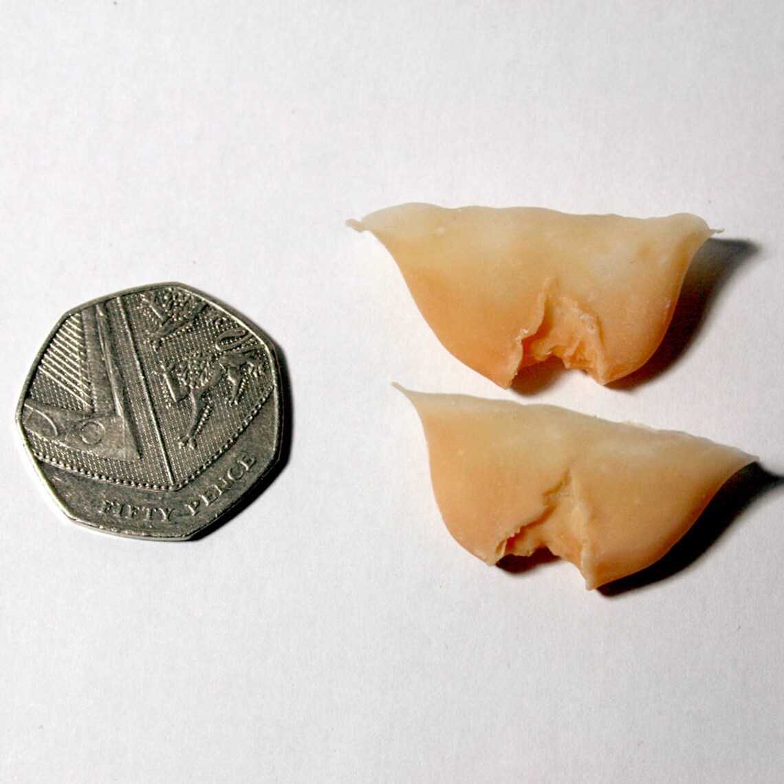 Ripped Ear Torn Out Earring Rip Deep & Detailed Latex | Etsy