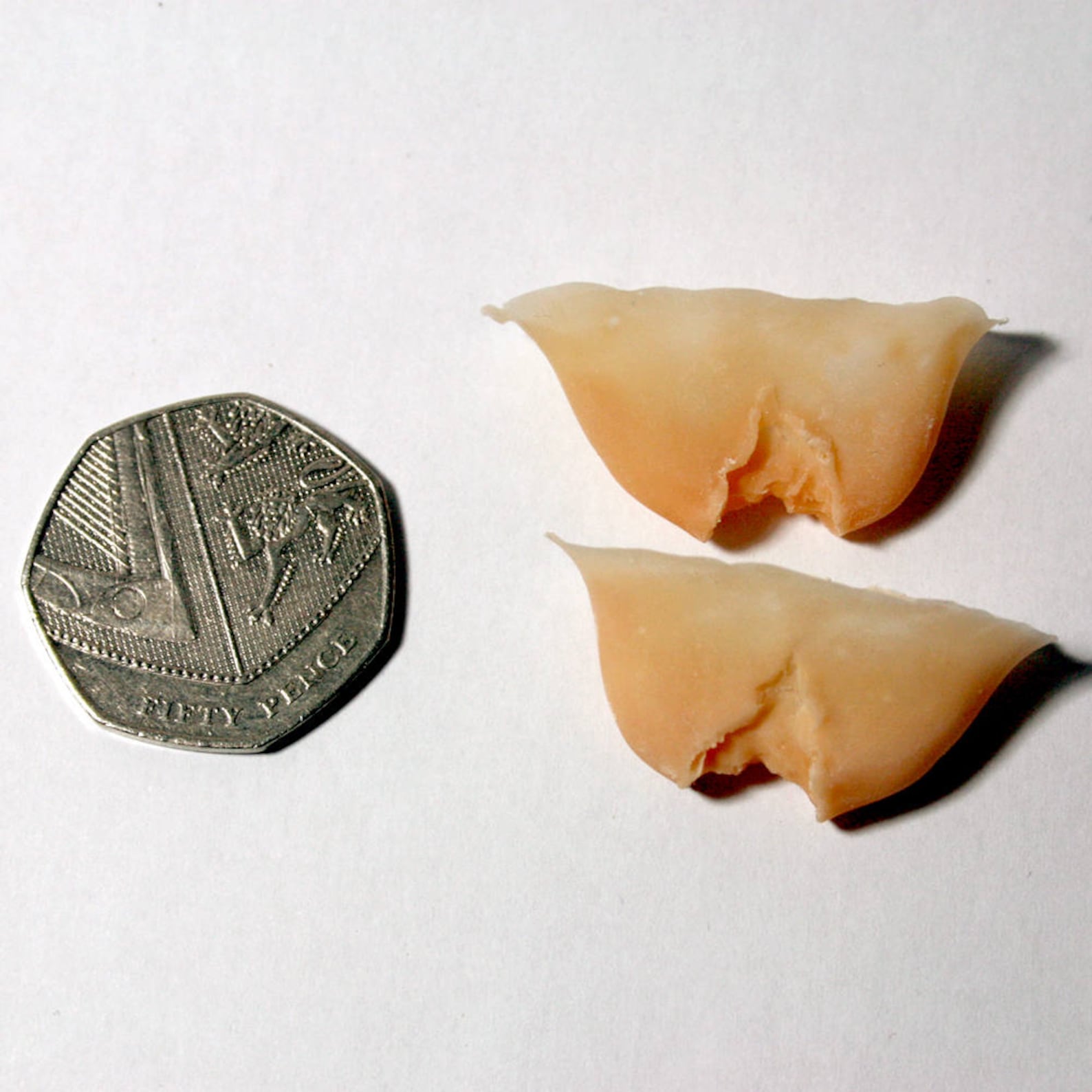 Ripped Ear Torn Out Earring Rip Deep & Detailed Latex | Etsy