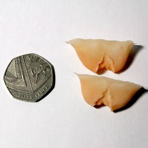 Ripped Ear, Torn Out Earring Rip Deep & Detailed Latex Prosthetic Scar ...