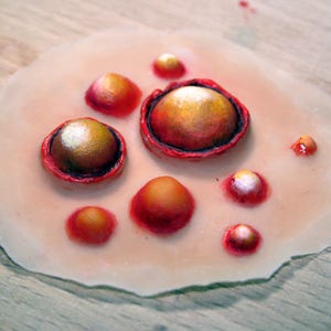 Boils #2 Disease Infection, Plague Wound! Deep & Detailed Latex ...