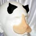 Cat Costume Prosthetic Set -detailed Latex Nose & Ears Character Set ...