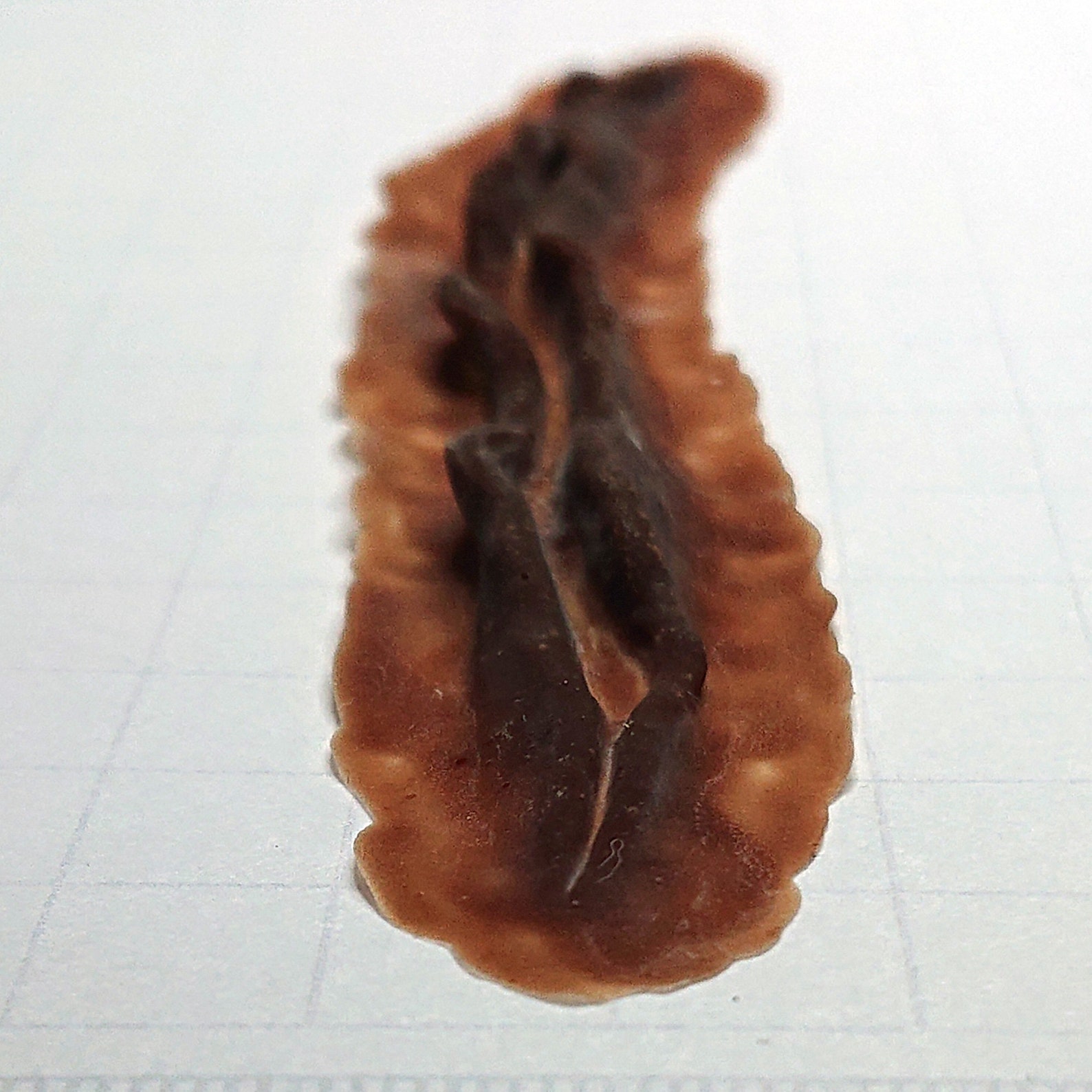 Cut Slit Slash Wound 2 Deep & Detailed Latex Prosthetic Scar - Etsy