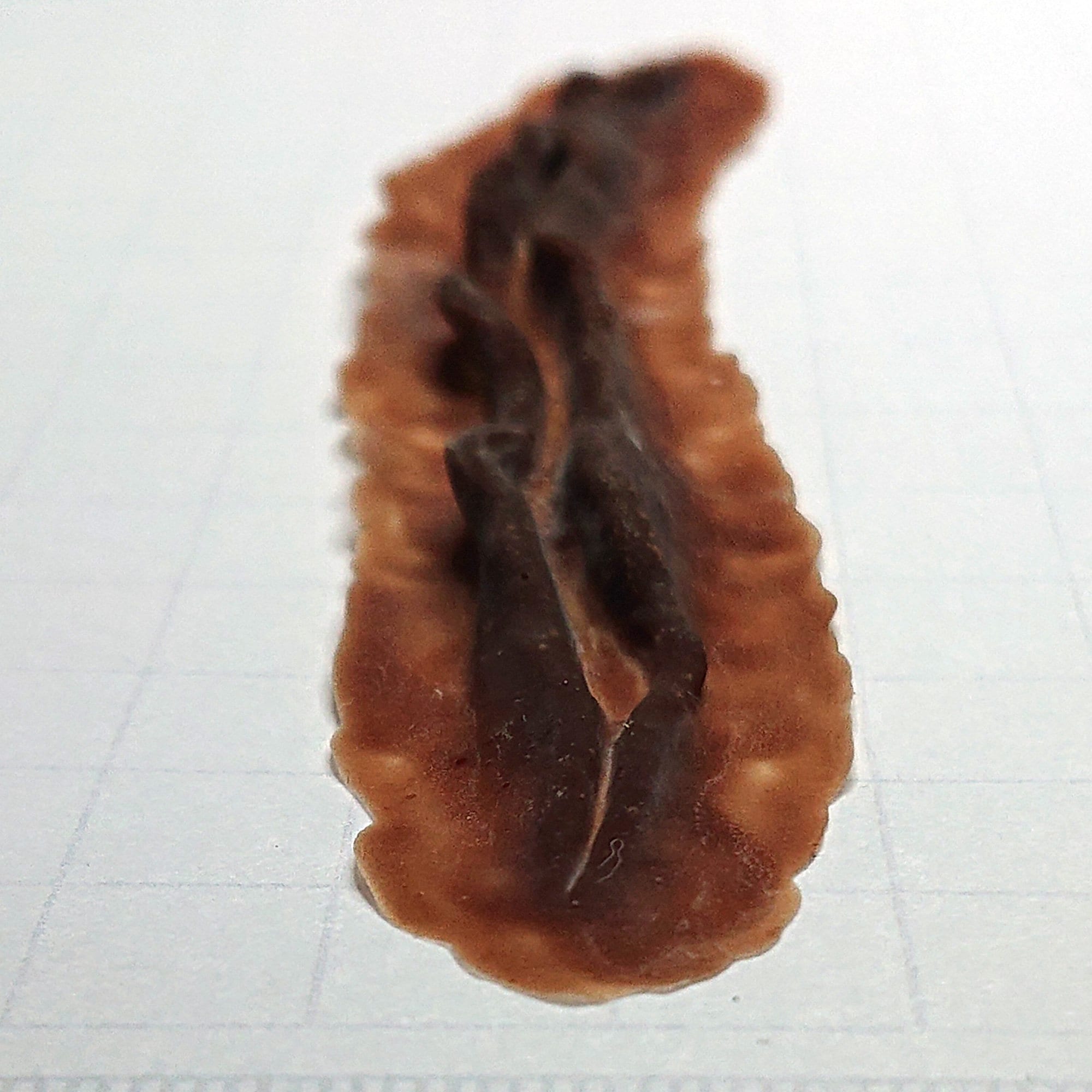 Cut Slit Slash Wound 2 Deep & Detailed Latex Prosthetic Scar - Etsy