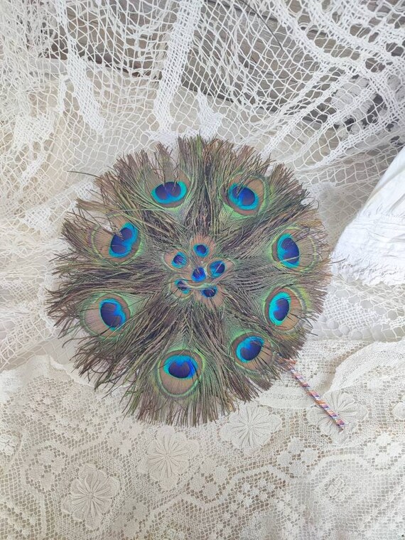 Vintage Peacock Feather Fan, Hand Held Fan, Art Deco … - Gem