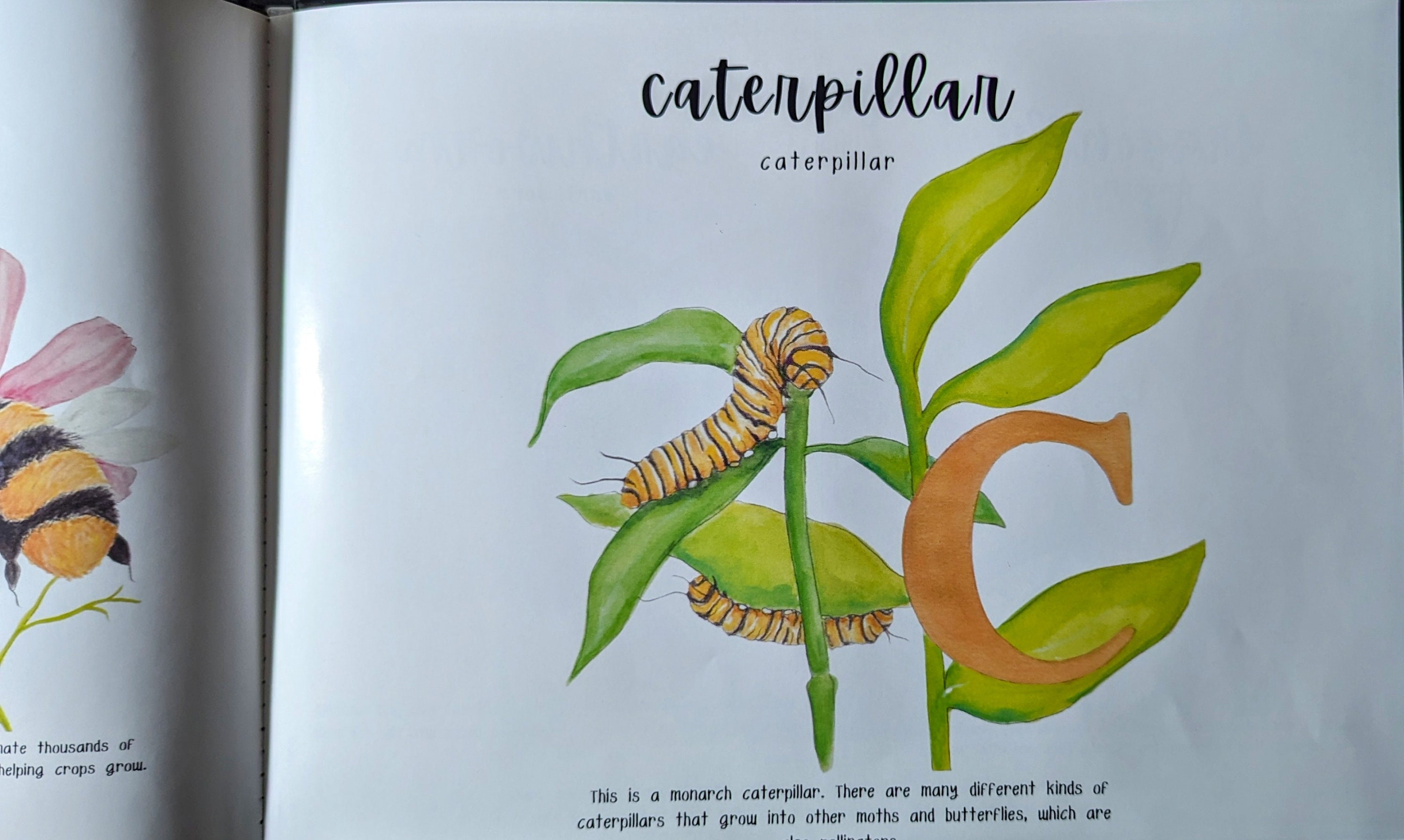 Pollinator Garden ABC Book - Etsy