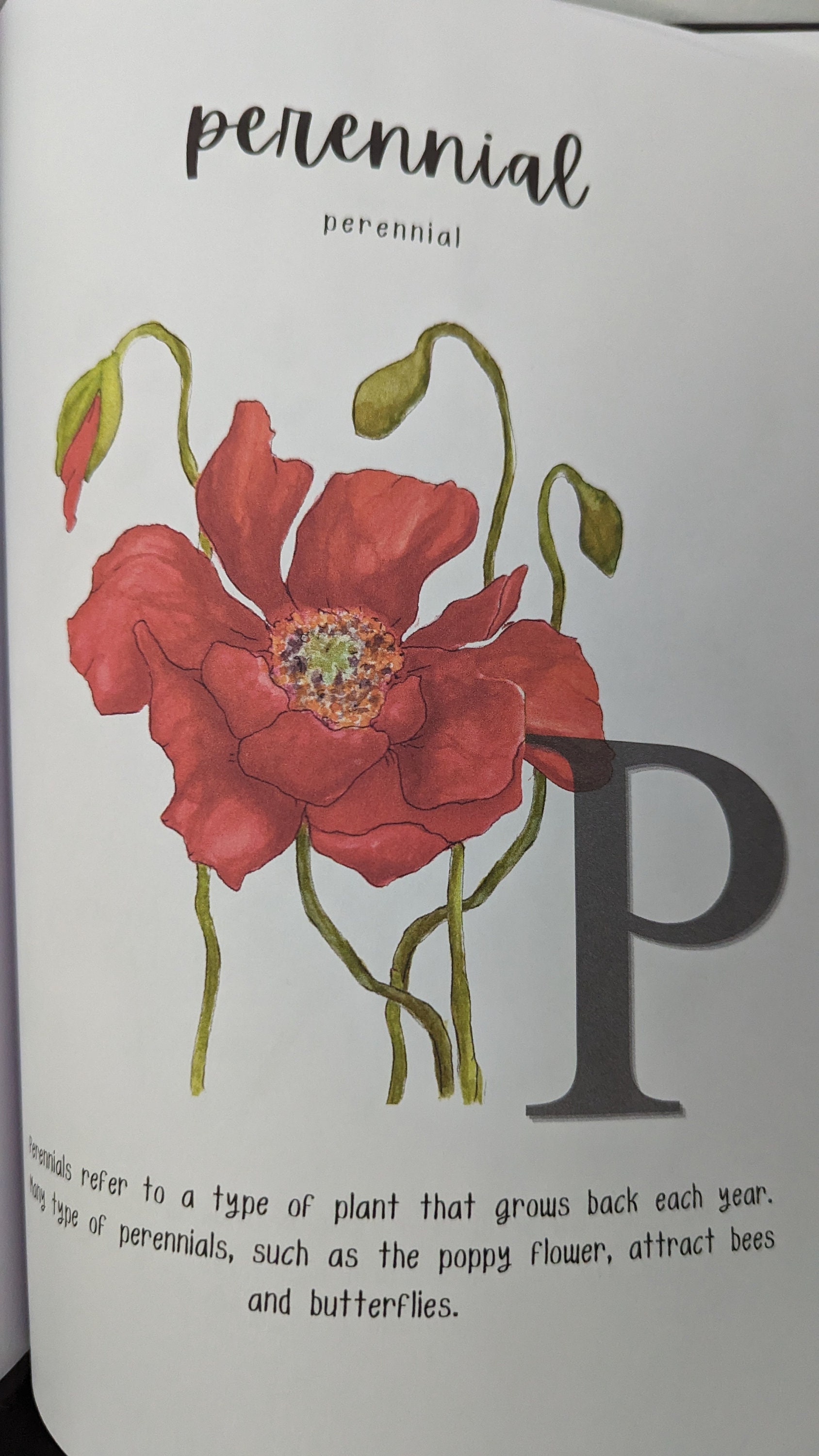 Pollinator Garden ABC Book - Etsy