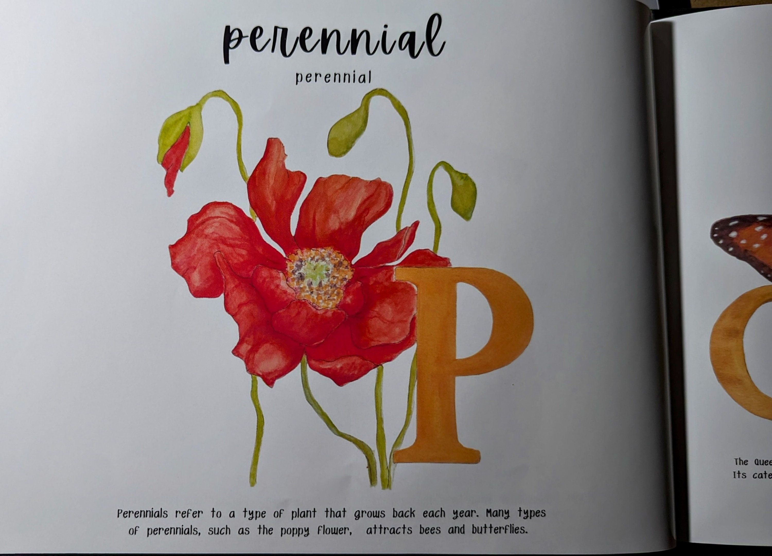 Pollinator Garden ABC Book - Etsy