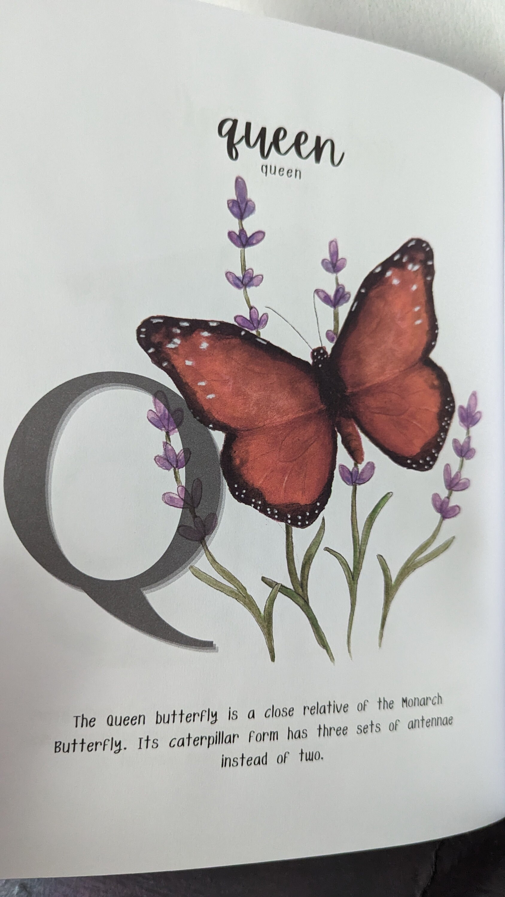 Pollinator Garden ABC Book - Etsy