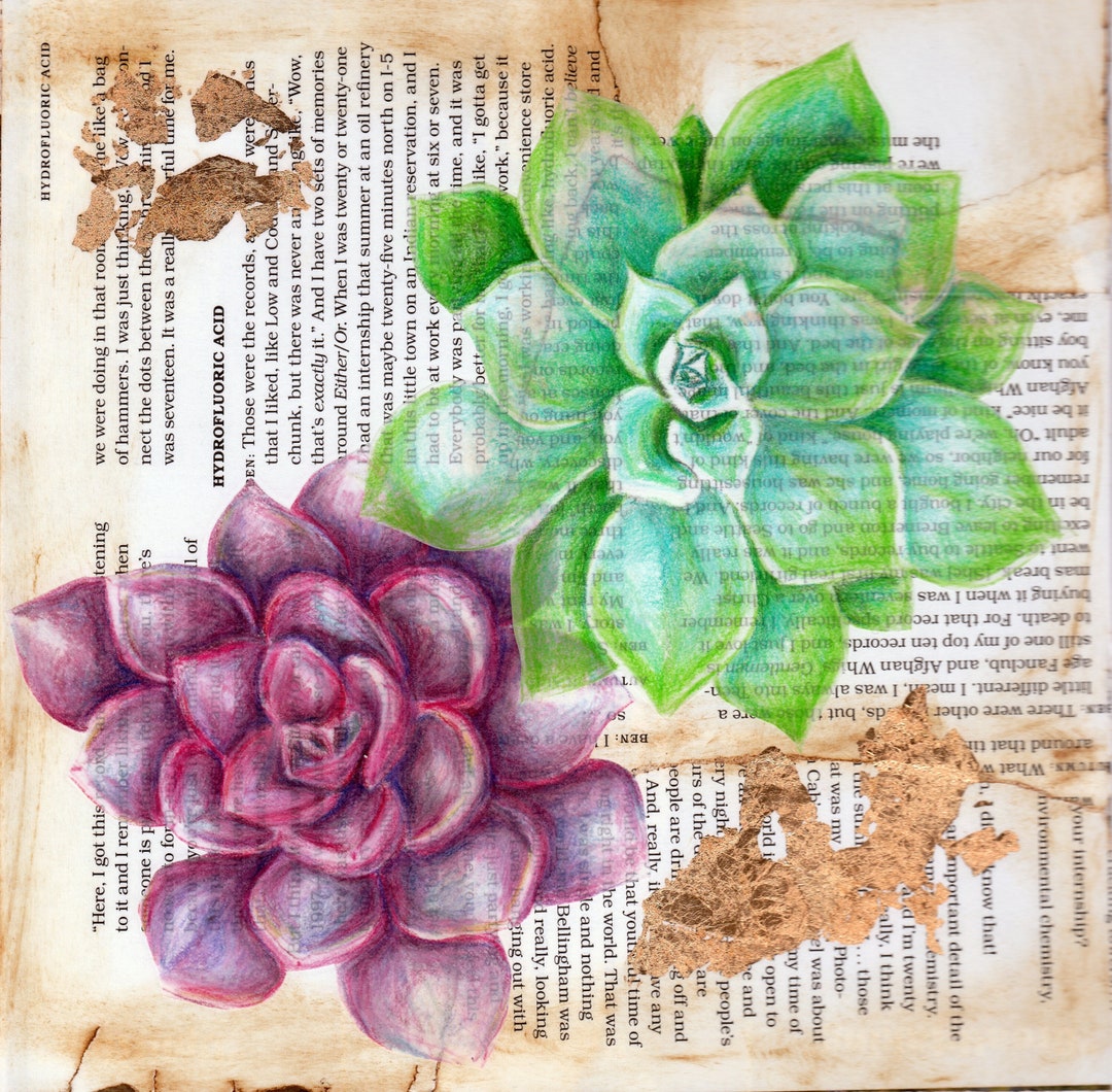 Succulents Digital Download - Etsy