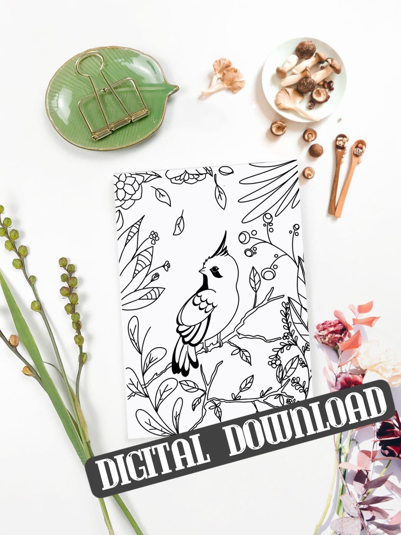 Colouring Pages Set of Colouring Sheets Cute Colouring - Etsy