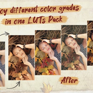 AUTUMN Luts Superpack for Video/photo Color Grading/editing |fall Color ...