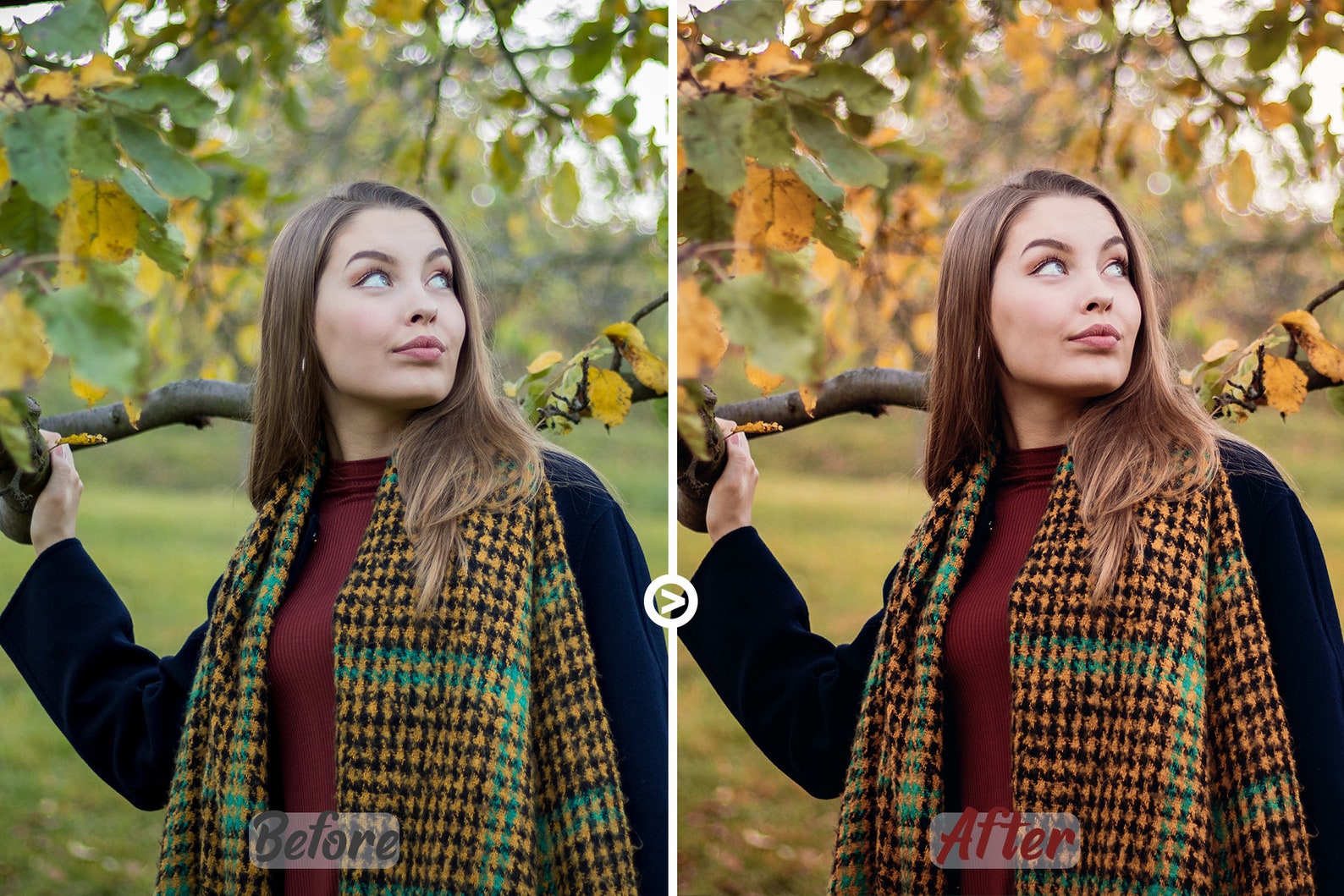 AUTUMN Luts Superpack for Video/photo Color Grading/editing - Etsy