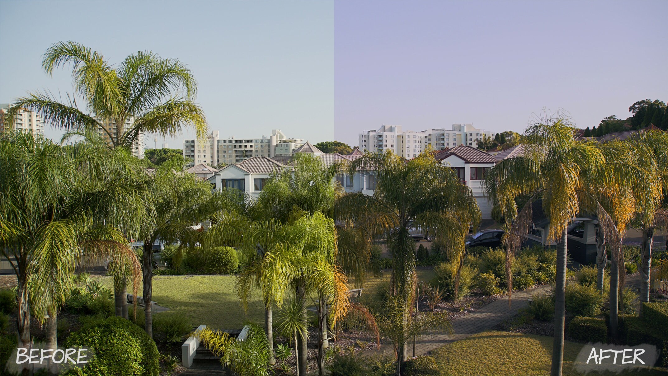 Creative Luts Collection Luts Pack for Video and Photo - Etsy