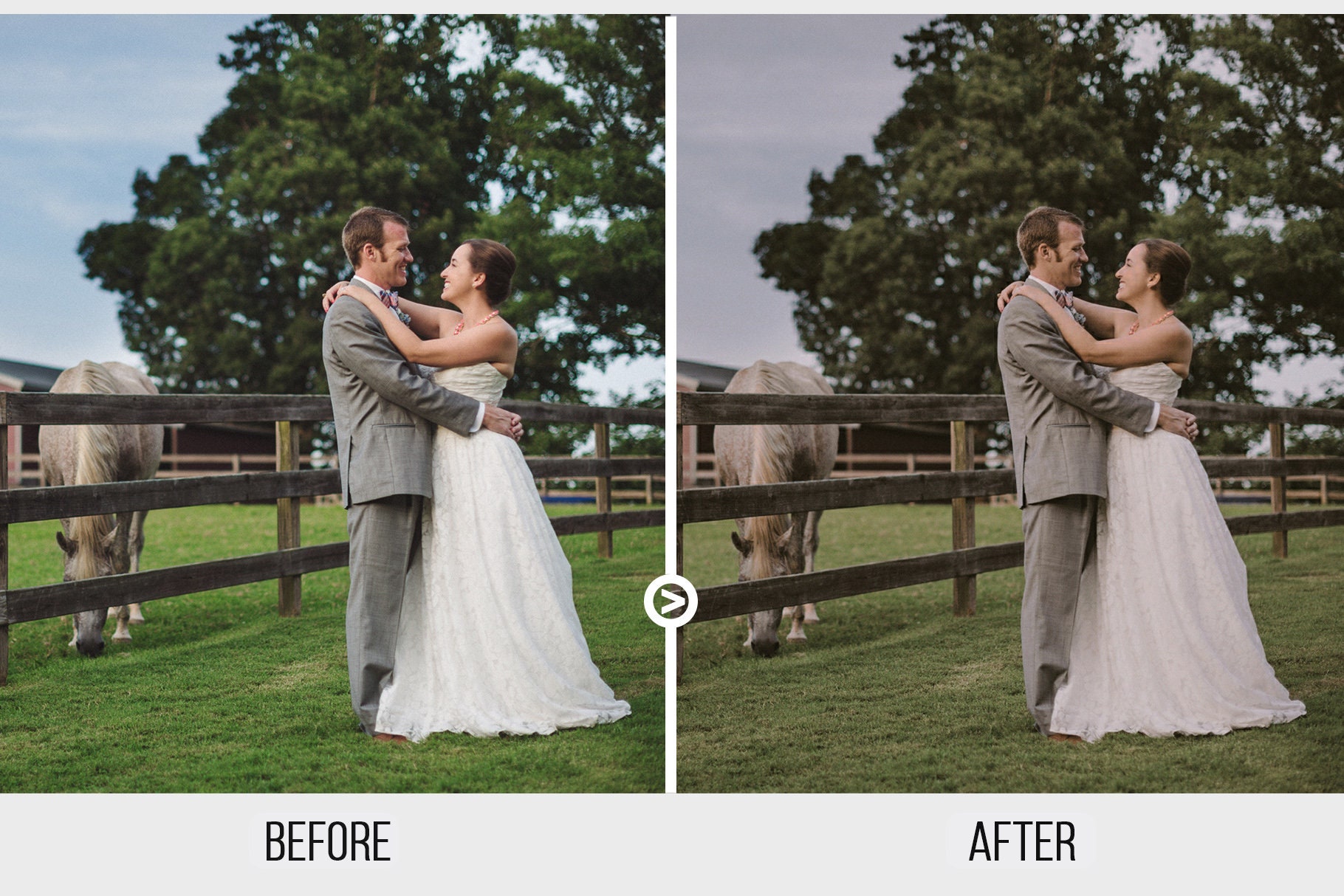 Filtros Rústicos LUT de boda, Luts de boda de granja rural para Final ...