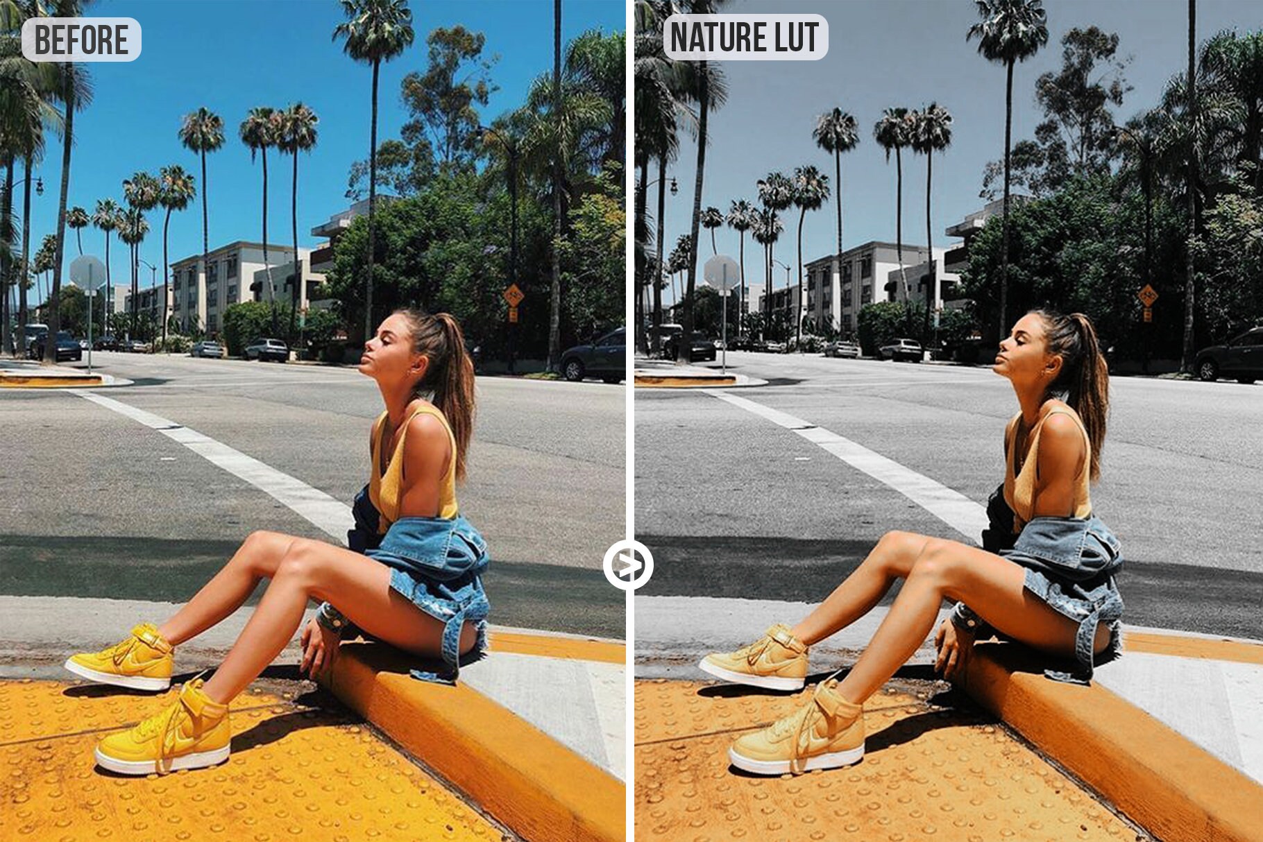 LUT de la colección Blogger: LUT de Final Cut, LUT de Adobe Premiere ...