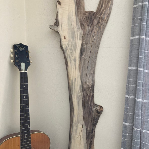 Live Edge Wall Art - Etsy
