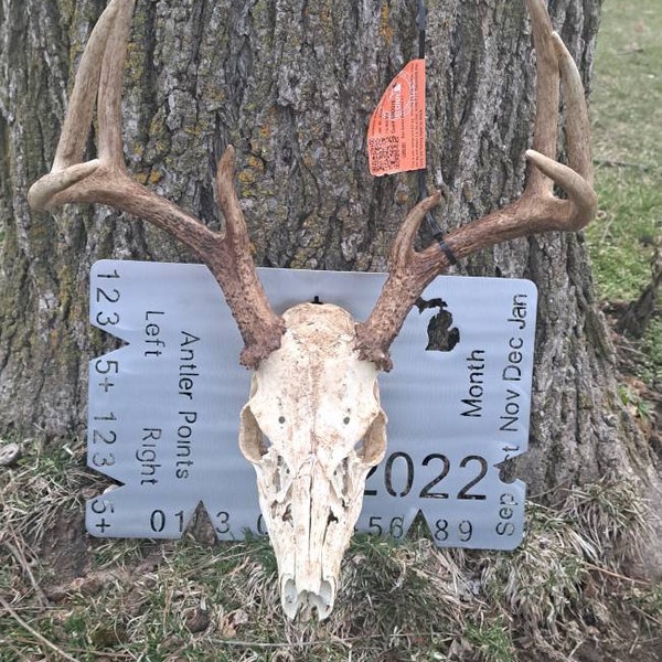 European Mount - Etsy