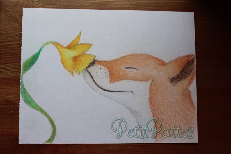 Original Sketch - 'smelling Spring' - Coloured Pencil - Etsy