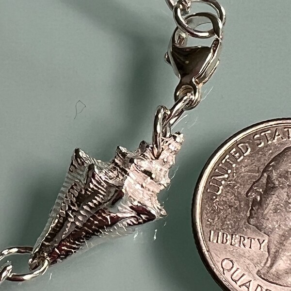 Baby Conch Shell - Etsy