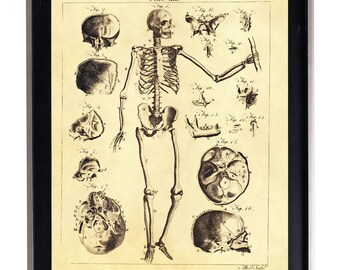Vintage Medical Illustration Wound Man Antique | Etsy