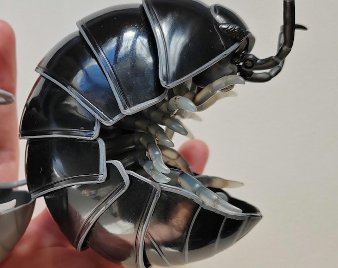Dangomushi - Isopod, Woodlouse, Pillbug Figures! Various Options ...