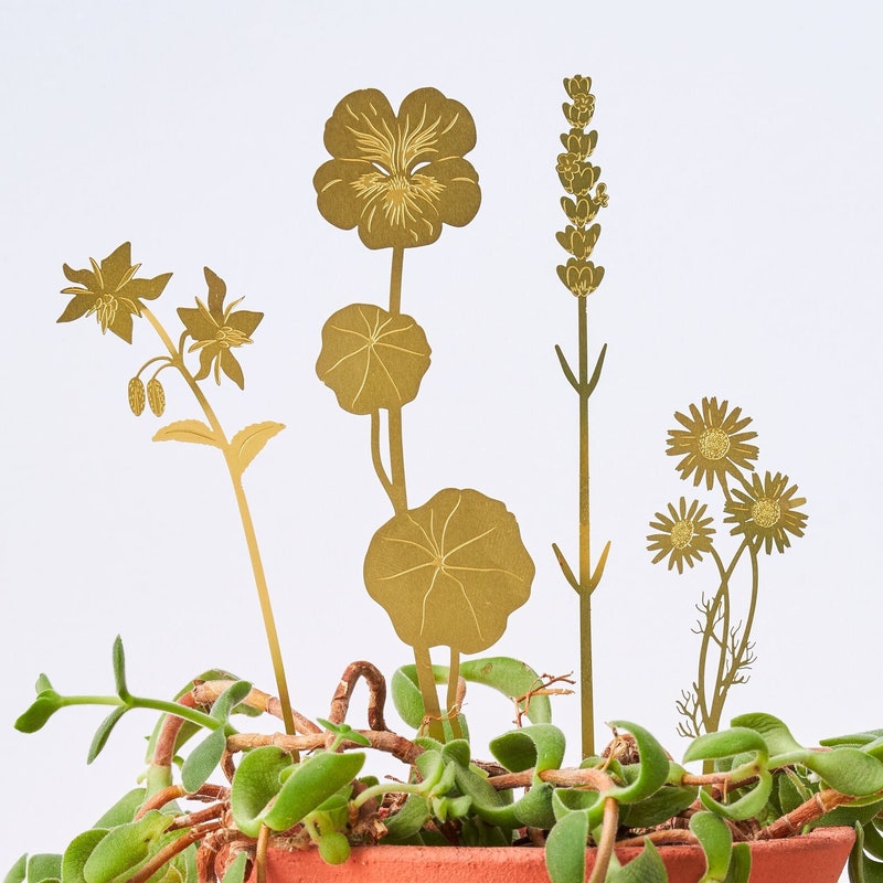 Brushed Gold Flower Pot - Etsy UK